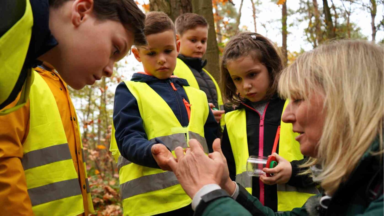 Meppen: VHS startet am 18. August ins Herbst-/Wintersemester ...